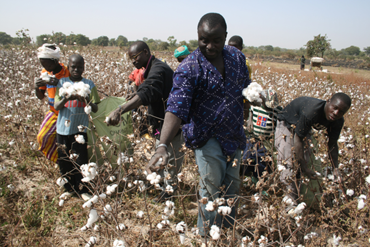 FEPAC : Assurer la durabilité agricole face au changement climatique