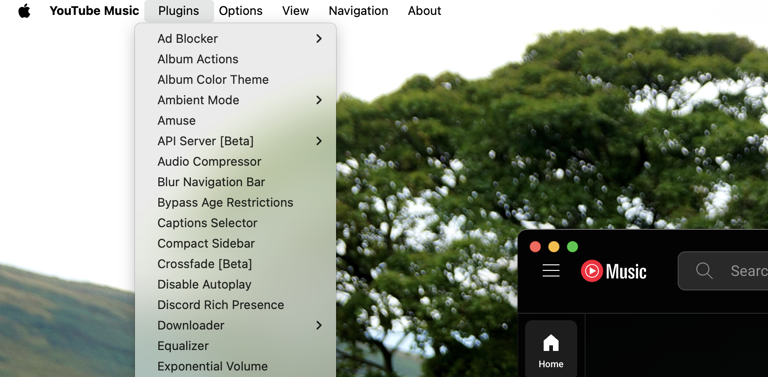 Use This YouTube Music App for a More Spotify-Like Experience on Desktop