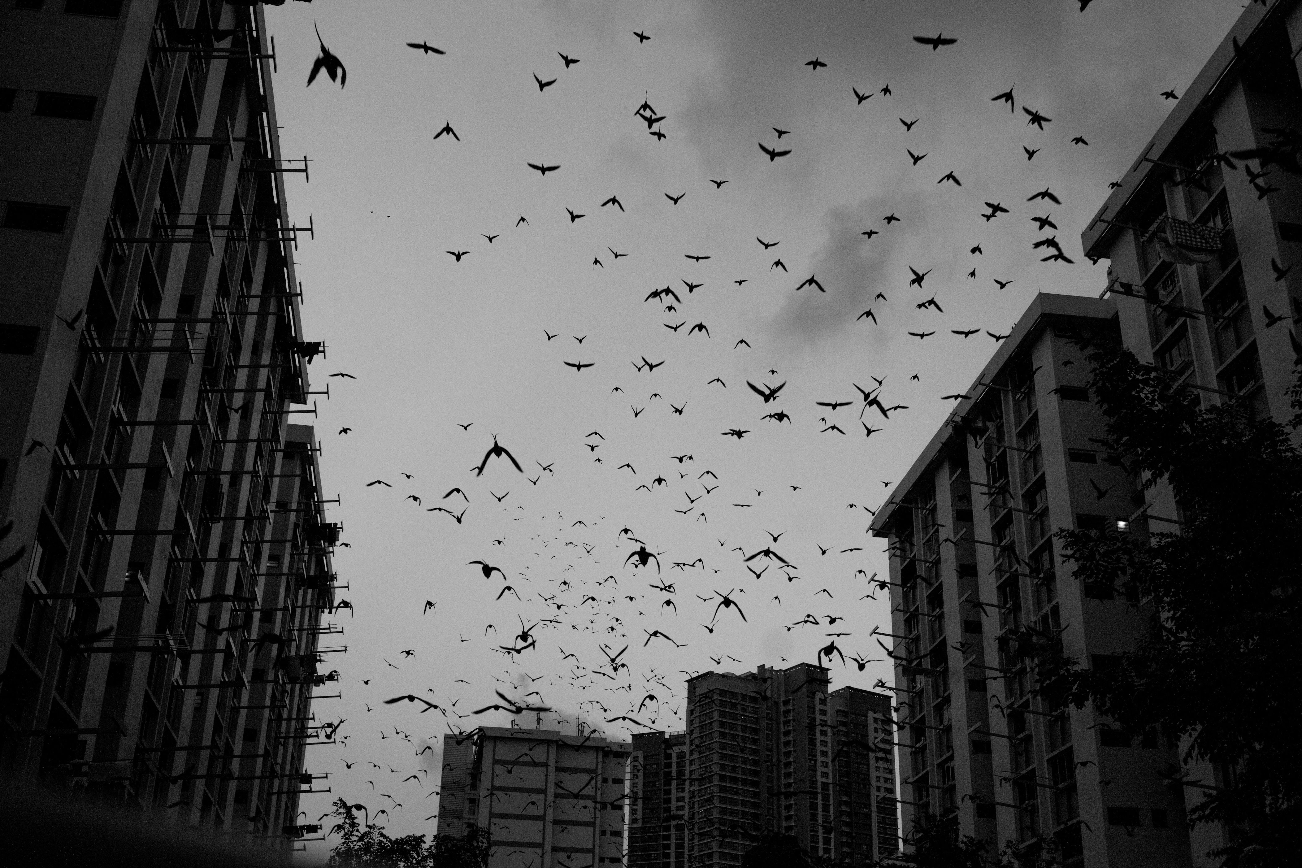 5 animals that could survive a zombie apocalypse