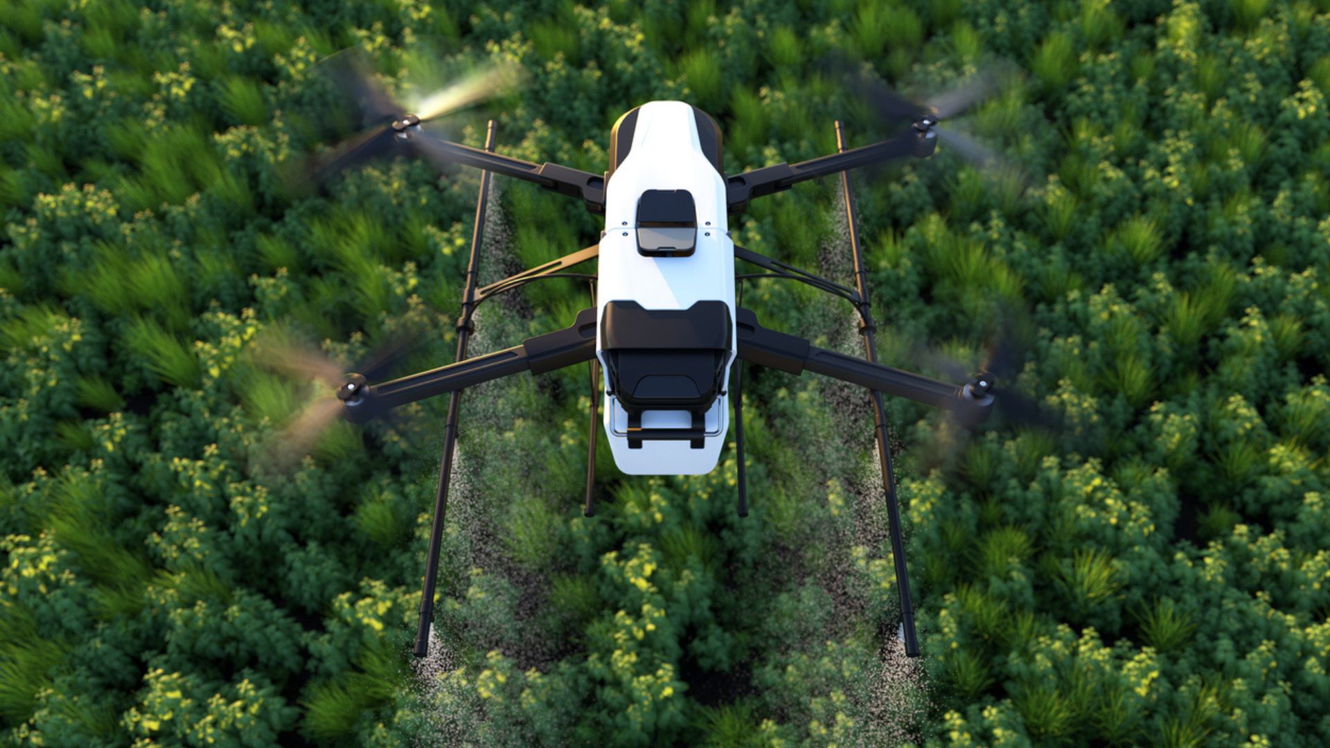 MIT engineers bacteria that text soaring drones about soil nutrients ...