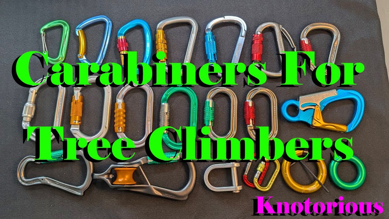 CARABINERS for Tree Climbers; An In Depth Analysis of Every Type of Carabiner I Own