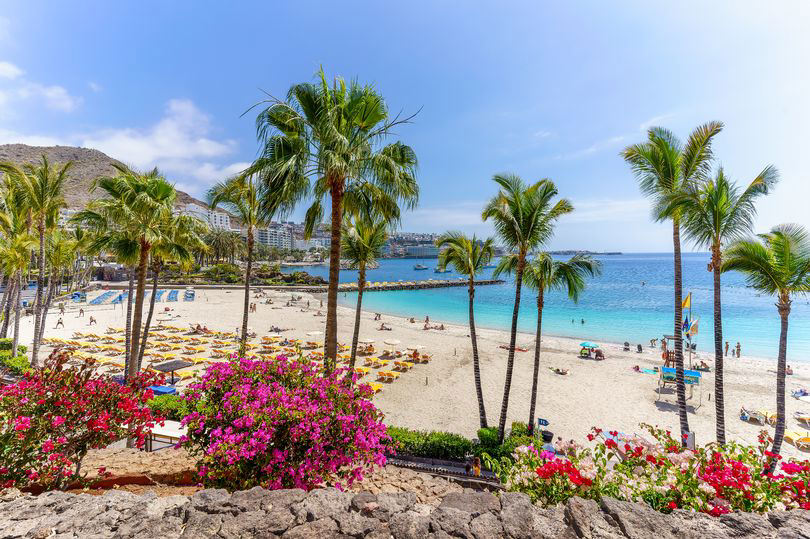 UK tourists warned of ‘chaos’ in Canary Islands over Easter UK tourists warned of ‘chaos’ in Canary Islands over Easter