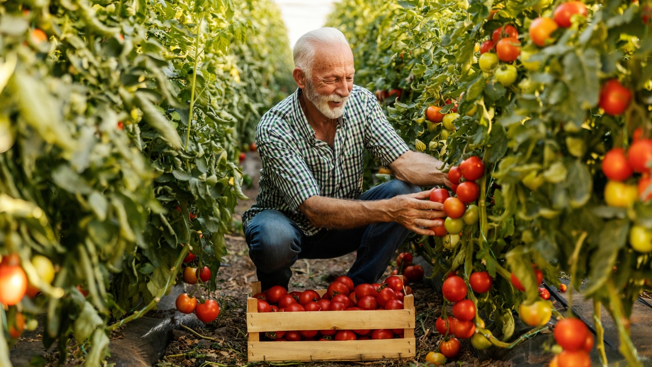 10 Best Crops to Grow for a Self-Sustaining Homestead