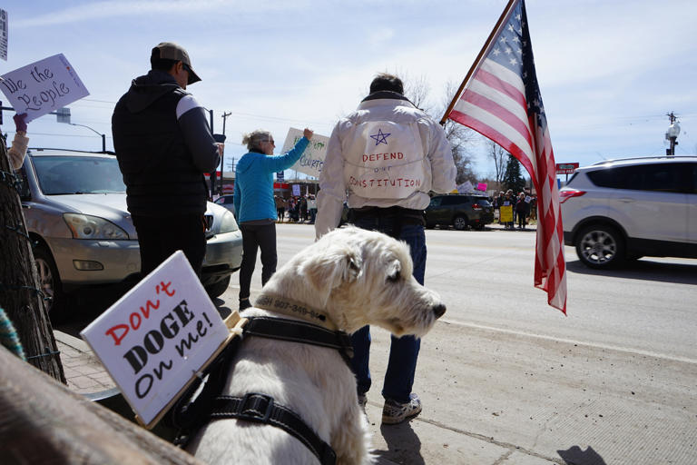Dogs against DOGE: Wyoming canines join protest crowds