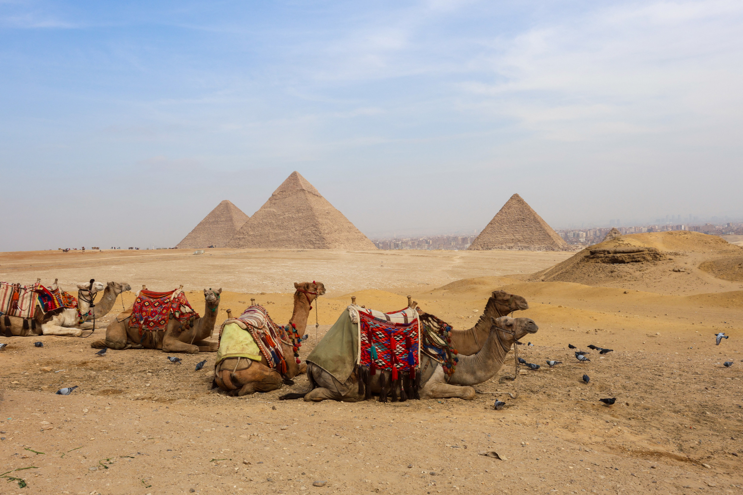 Pyramids Scheme: Egypt Tries to End Tourist Chaos