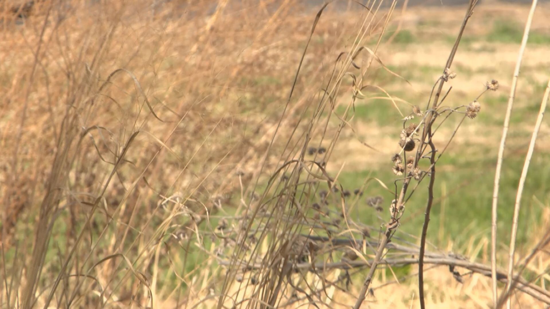 UNL report shows ongoing drop in groundwater, adding to Nebraska’s drought