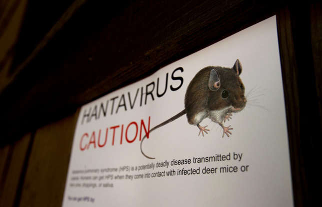 Symptoms of hantavirus which killed Gene Hackman’s wife revealed as 3 ... Symptoms of hantavirus which killed Gene Hackman’s wife revealed as 3 ...