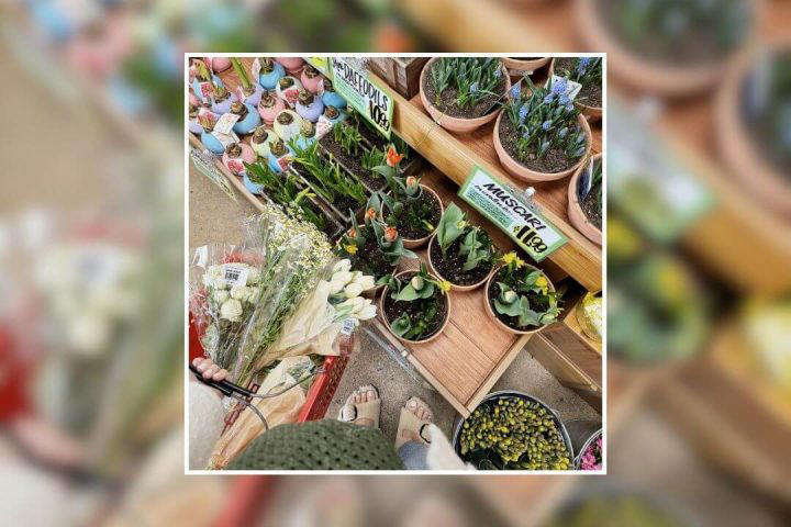 Trader Joe’s Has Tons of New Items for Spring: Here’s What’s Worth Grabbing