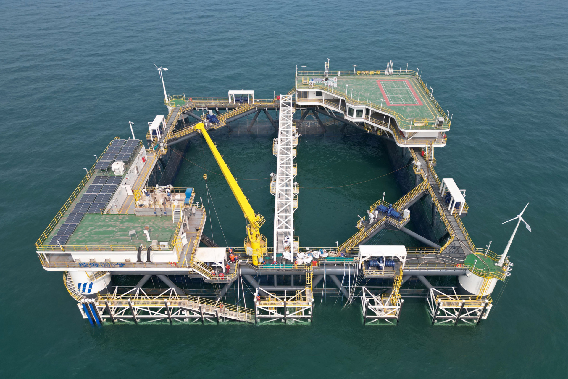 Underwater farms: a new hope for combating climate change?