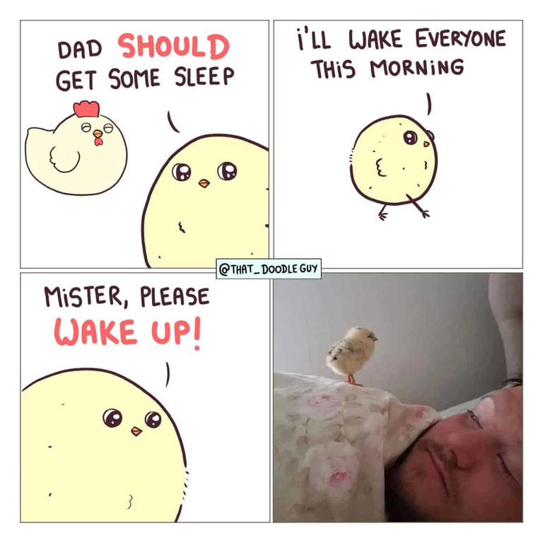 45 Wholesome Comics Inspired By Real Animal Pictures From 'That Doodle Guy'