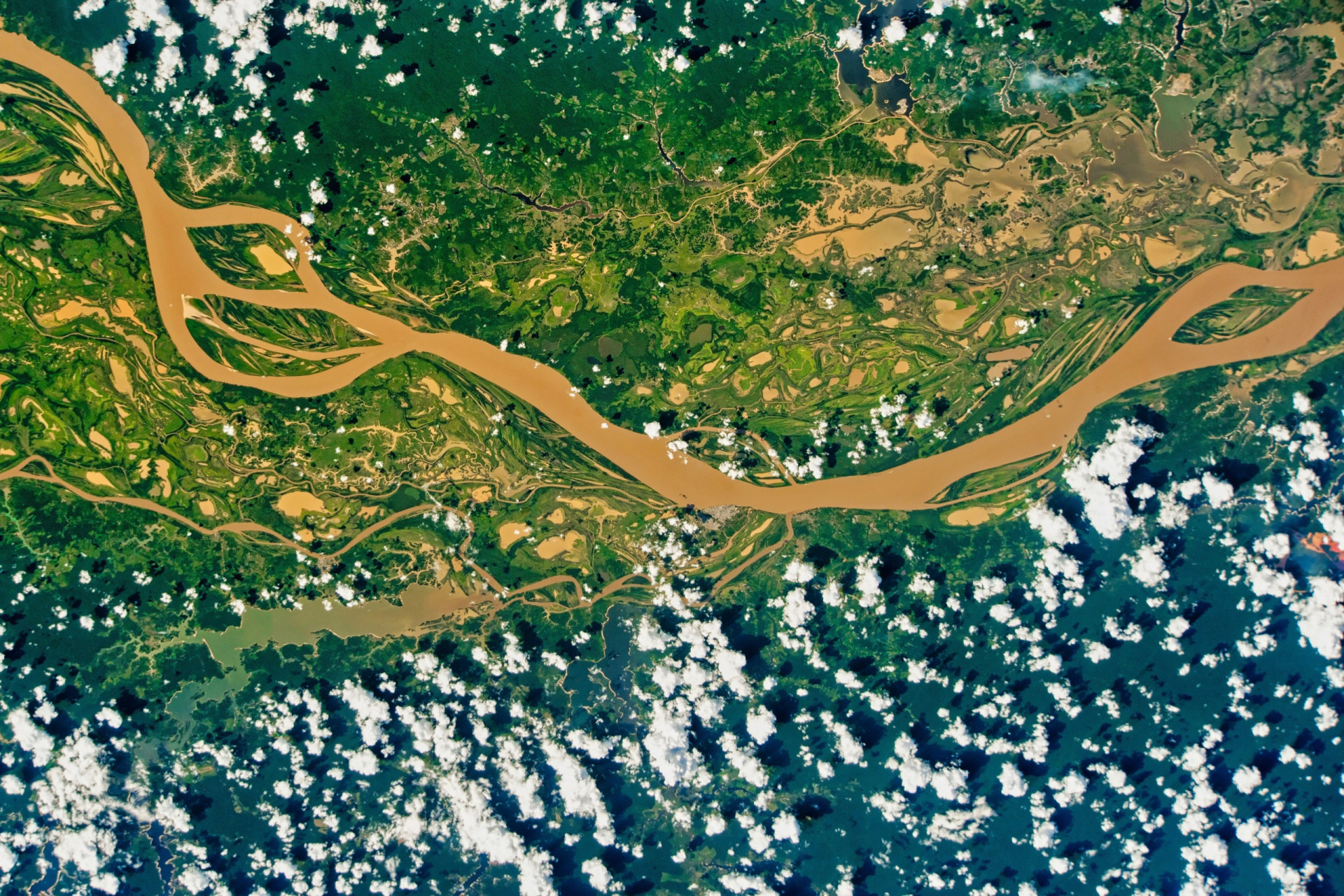 The most common skin conditions, and their cures