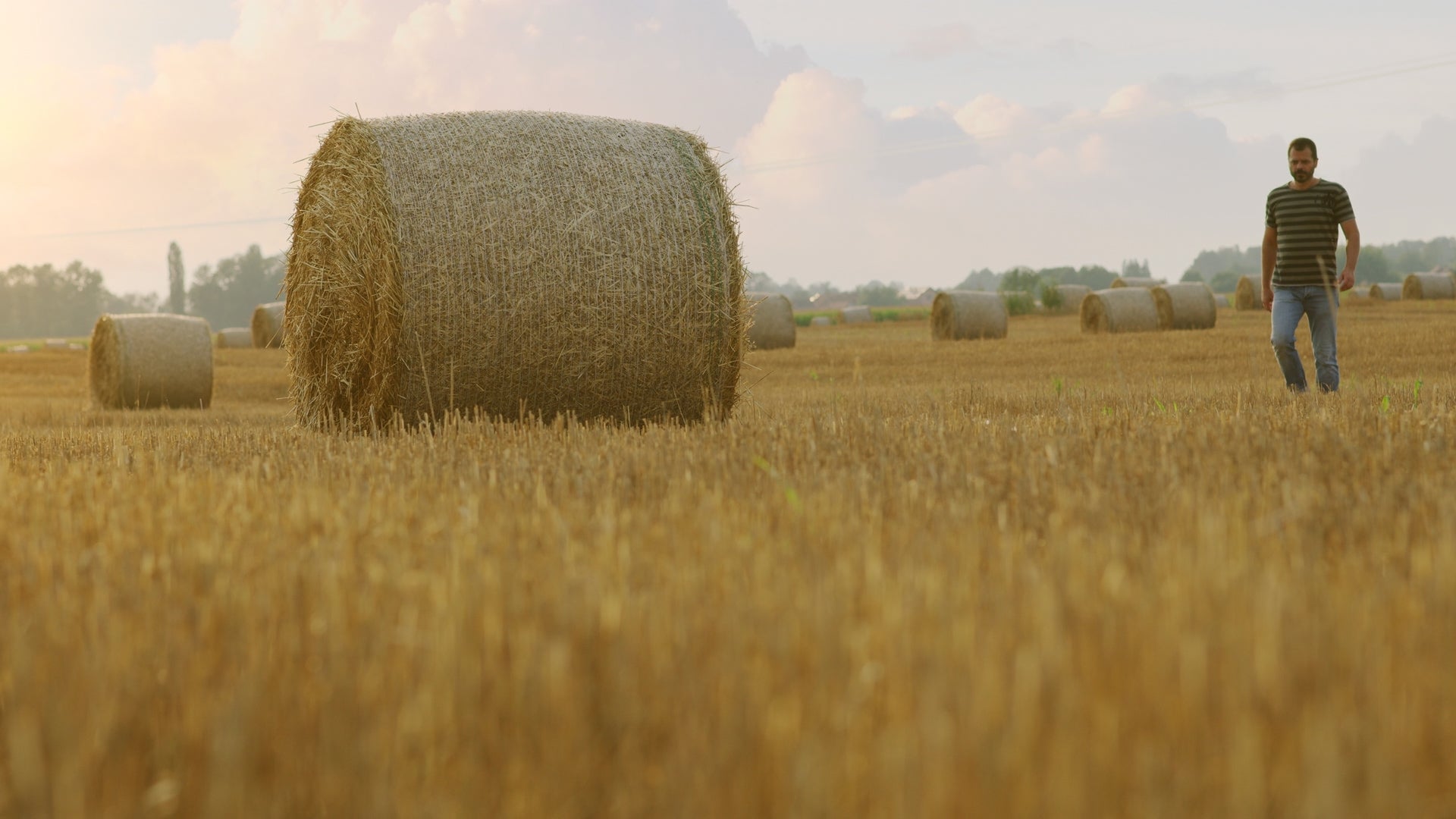 Why Seasonal Allergies Are Called ‘Hay Fever’