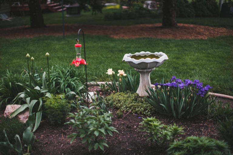 Gardeners Beware: Experts Warn These 9 Poisonous Flowers Might Be in Your Backyard