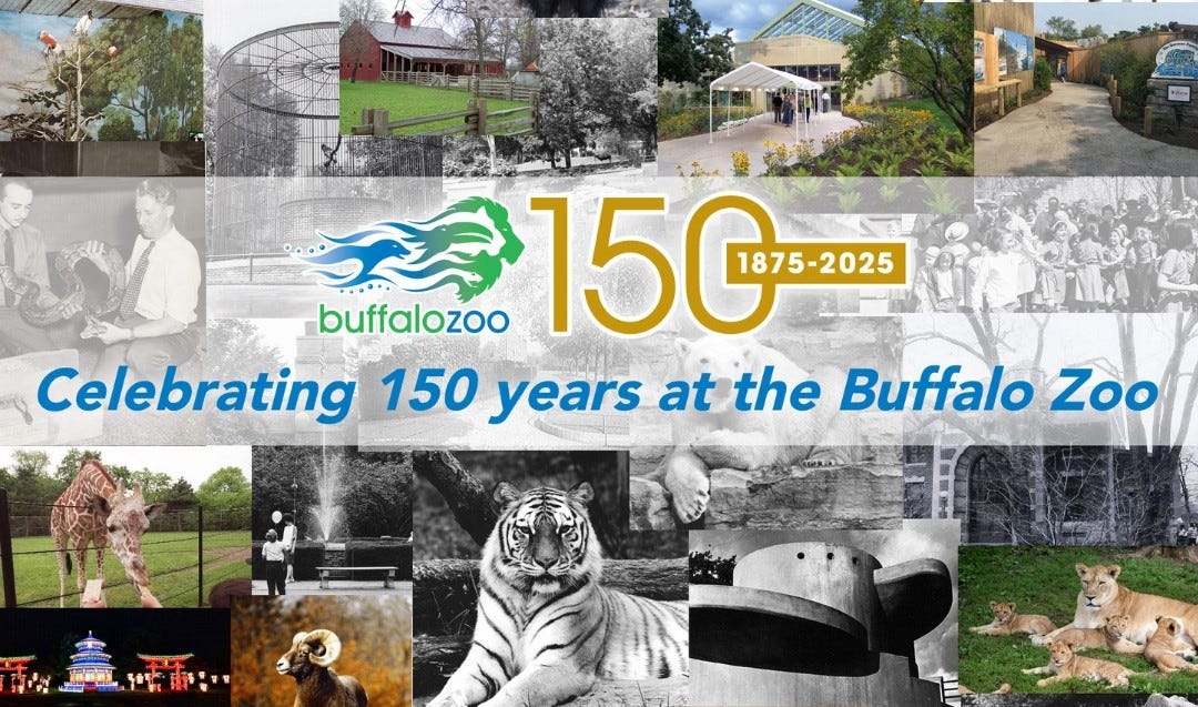 West Herr WBEN Buffalo Business Report - Friday, April 11th, 2025