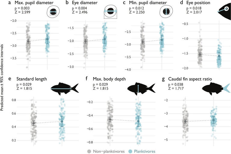 Amazing diversity of shapes found among plankton-feeding fishes