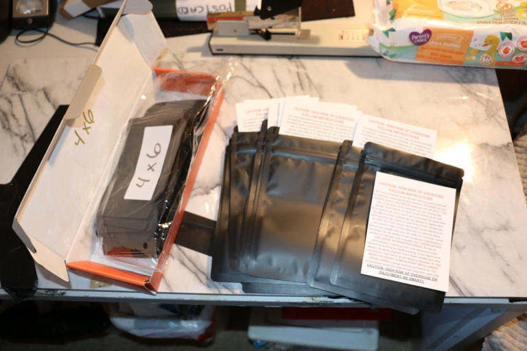 21 people charged in expansive LI drug ring, including woman who ...