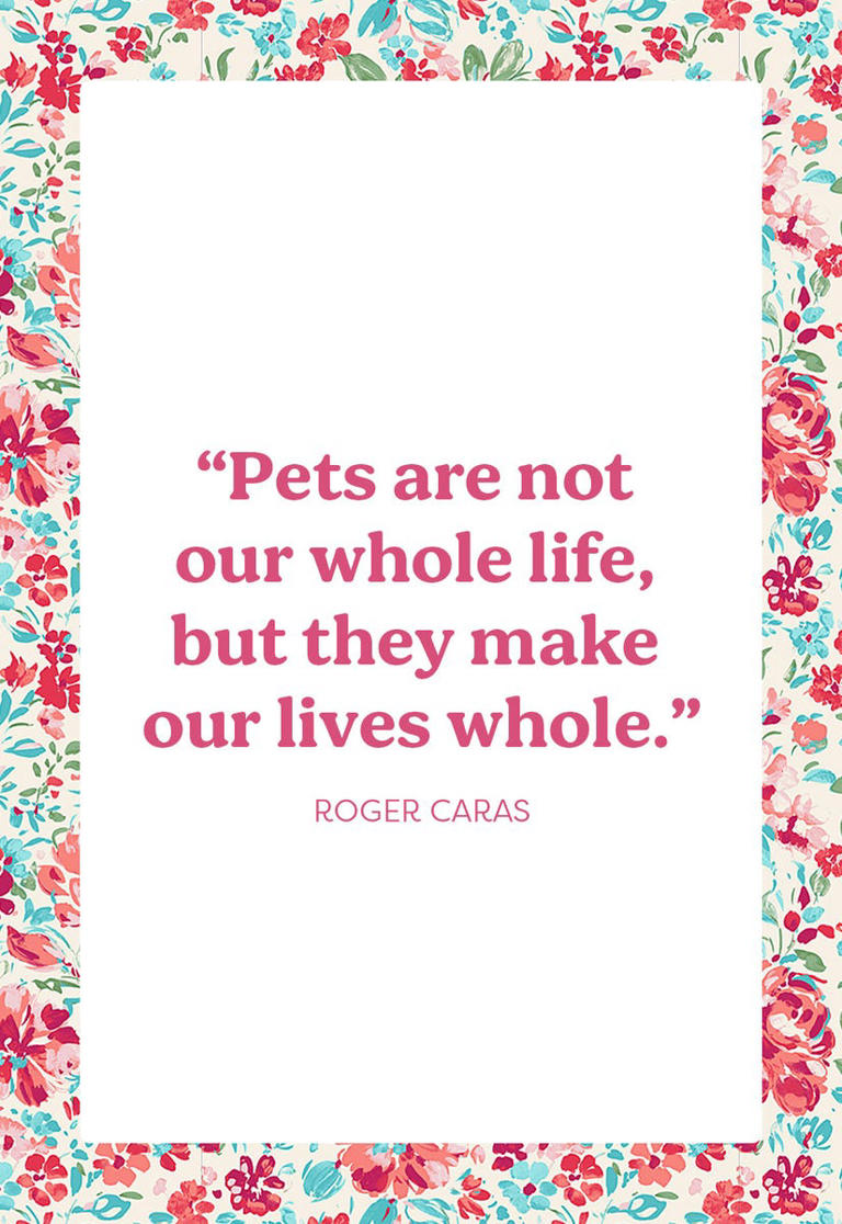 Honor Your Furry Friend on National Pet Day With These Cute Pet Quotes