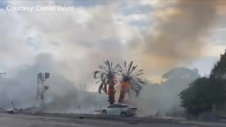 Politicians react after plane crash leaves 3 dead in Boca Raton