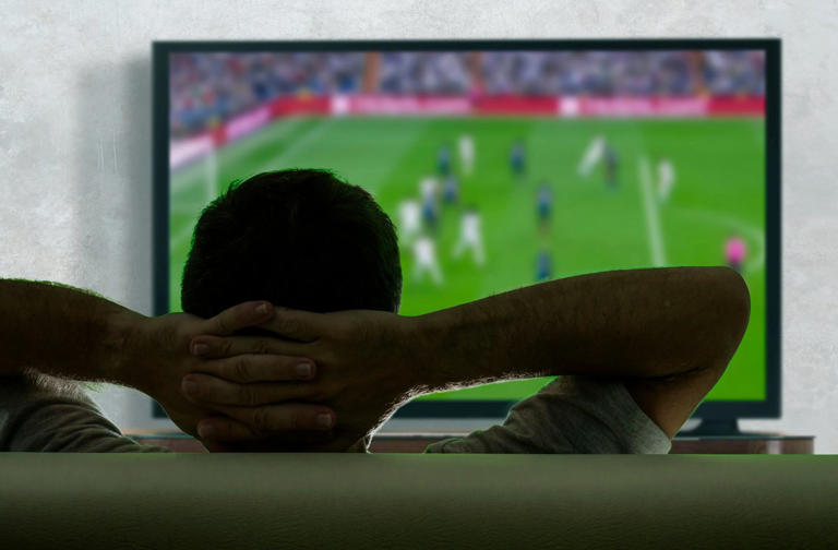Coupe du monde : l'Arcom a commencé à couper en plein match les ...