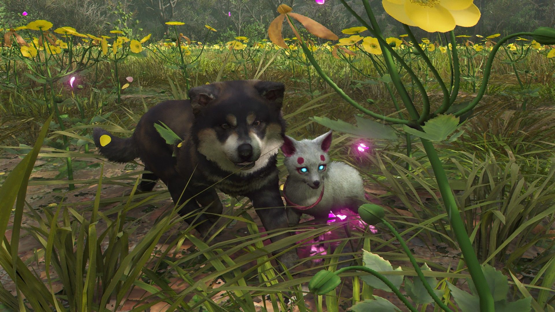 I've spent 60 hours turning Assassin's Creed Shadows into a Pokemon ...