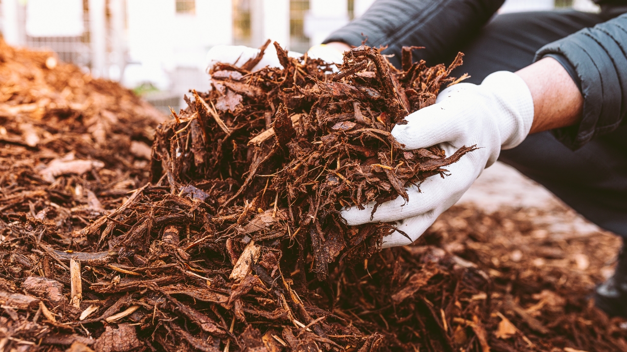 10 weed control hacks that actually work