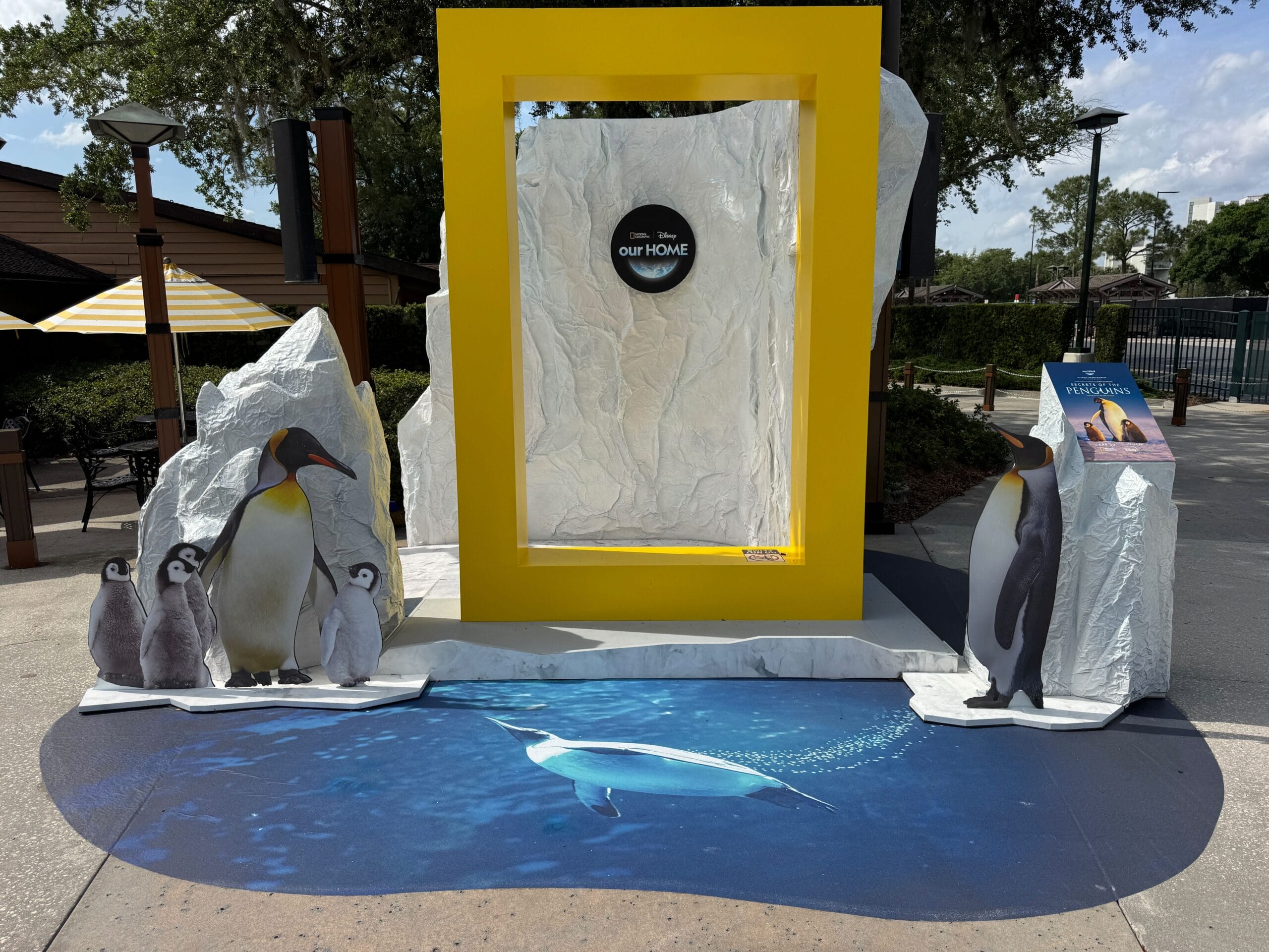 National Geographic Photo Op for 'Secrets of the Penguins' Now at ...