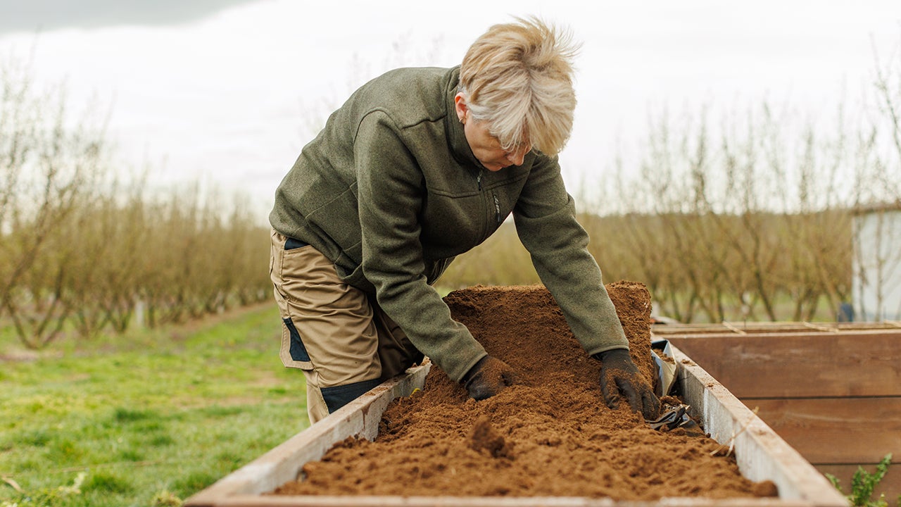 Weekly Planting Guide: Southern Gardeners, It's Time To Get Your Veggie ...