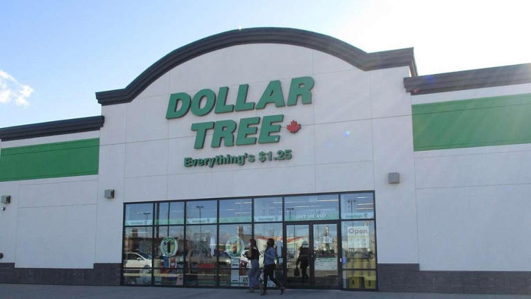 Dollar Tree prepares strategy to respond to possible price increases ...