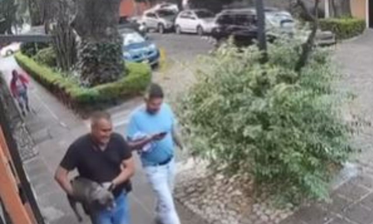 ¡Con total impunidad!, así opera banda de secuestradores de perros en ...