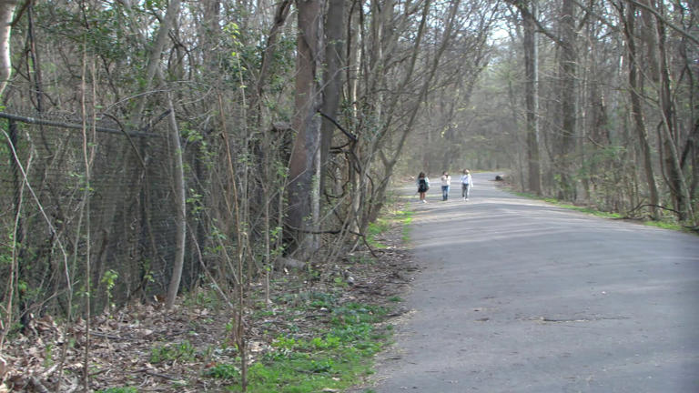 16-year-old charged with attempted murder after fight turned shooting ...