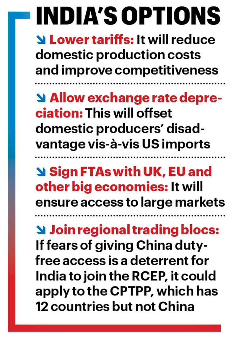 How India can weather trade tsunami in era of Trump tariffs