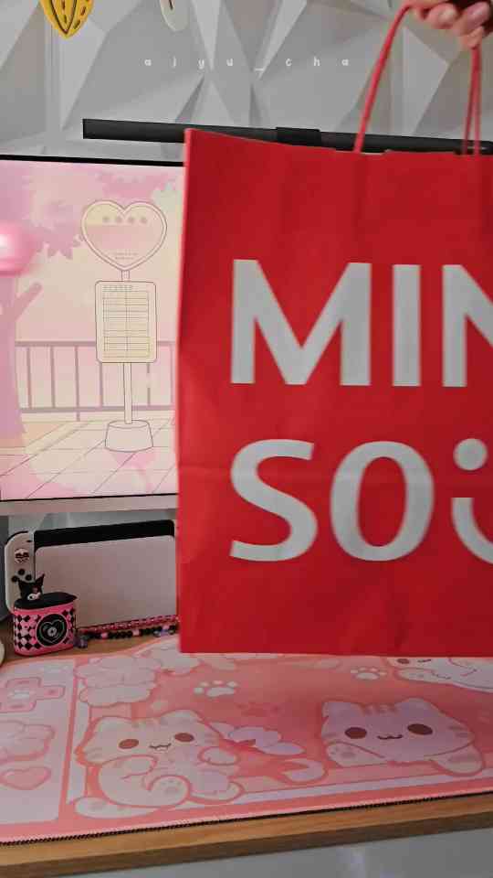 Sanrio Haul from Miniso at Irvine Spectrum