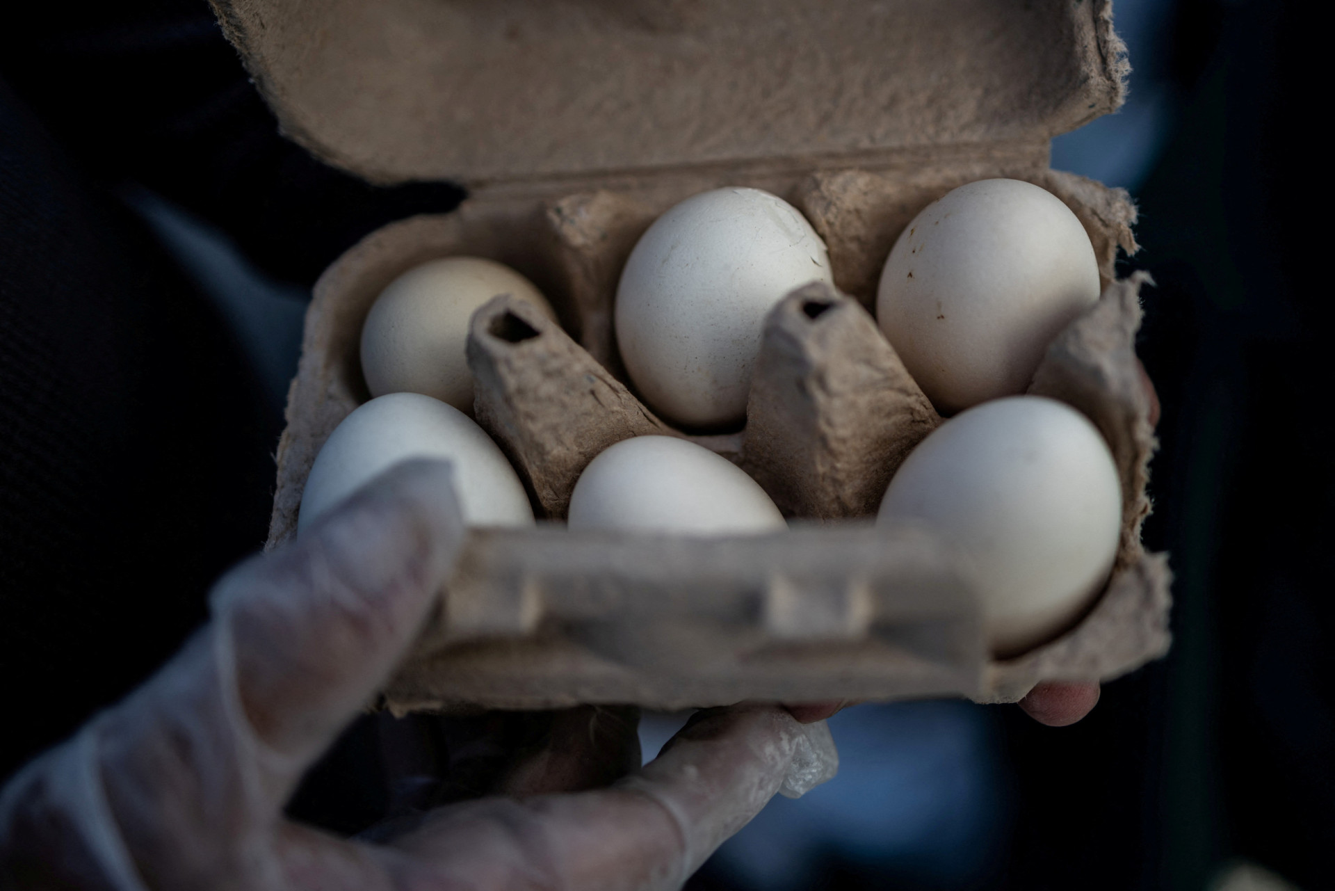 Egg prices hit record high, despite Trump's optimism