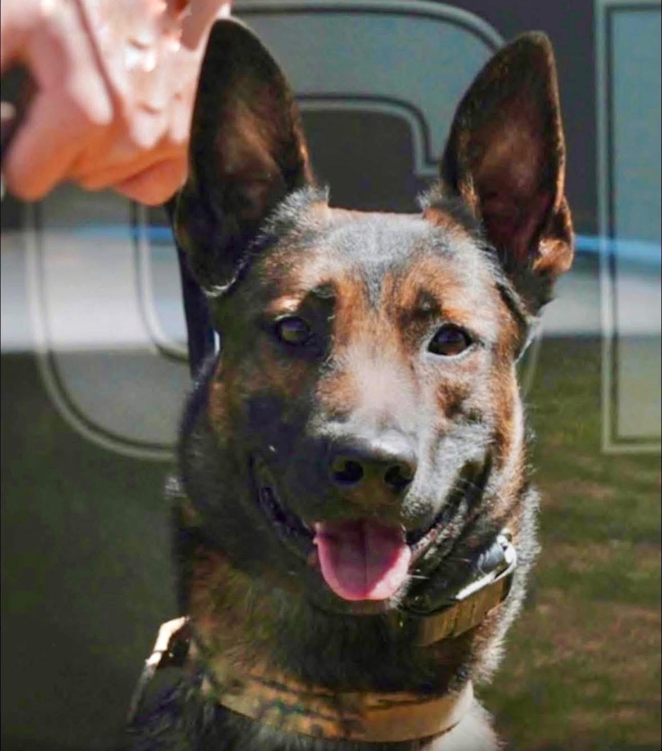 Capitol Police arrest man after traffic stop shooting on I-55 in ...