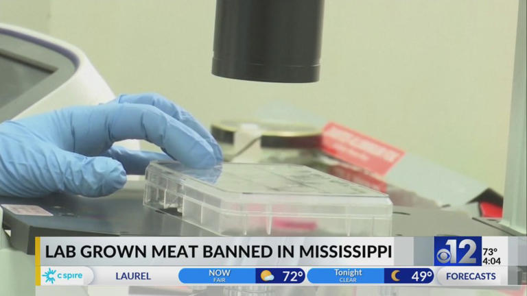 Mississippi joins other states in banning lab-grown meat products