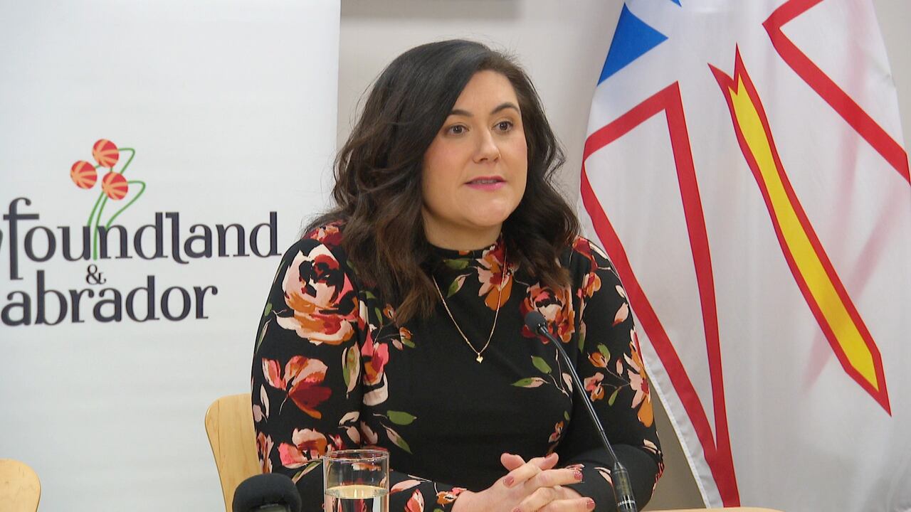 Stephenville airport could soon lose power, as N.L. fires up air ...