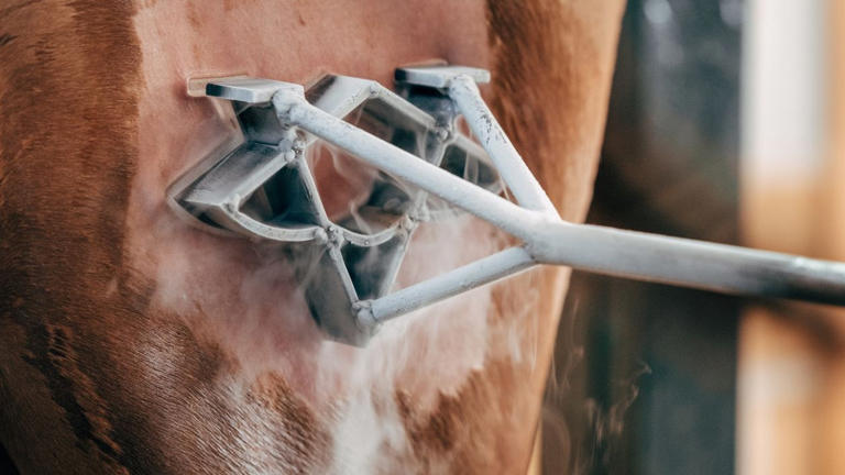 Why USC Trojans' DeCarlos Nicholson Withdrew From Transfer Portal