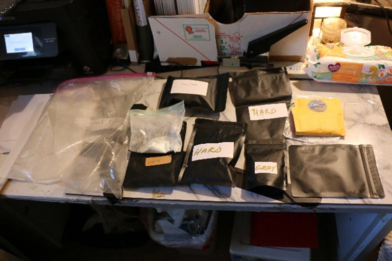 21 people charged in expansive LI drug ring, including woman who ...