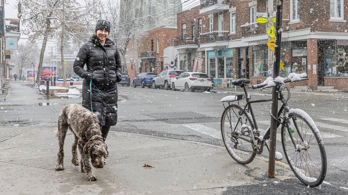 Street Poll: In Trudeau’s old riding, is Carney’s French a deal breaker?
