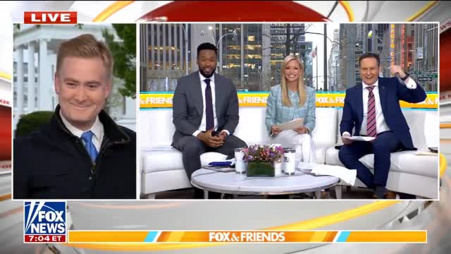 Fox News White House correspondent Peter Doocy attacked by bird live on air