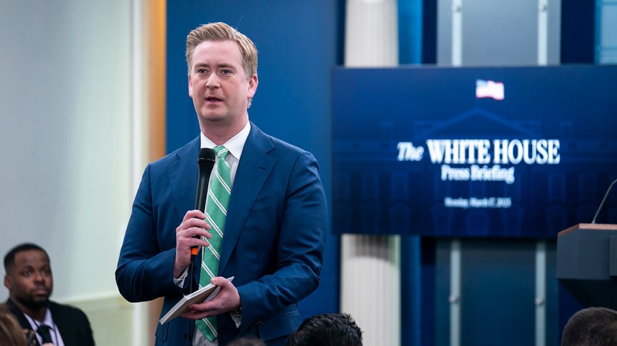 Bird lands on Peter Doocy’s head live on ‘Fox and Friends’