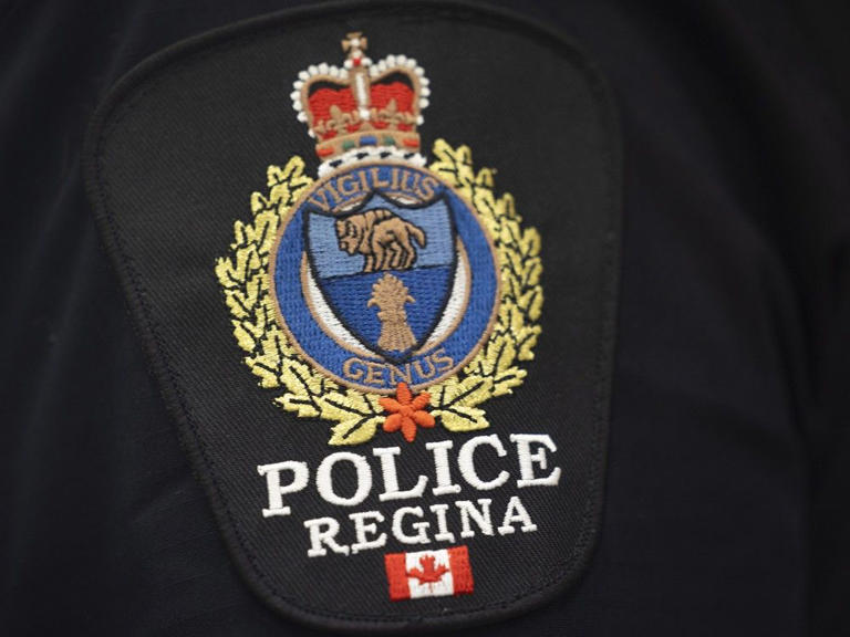 Animal control investigating after child injured in dog attack: Regina ...