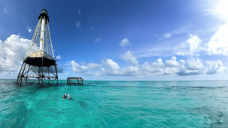 Best Snorkeling Spots in The Florida Keys