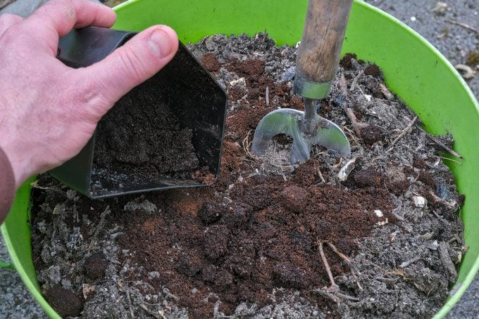 Coffee Grounds For Plants To Make Them Thrive