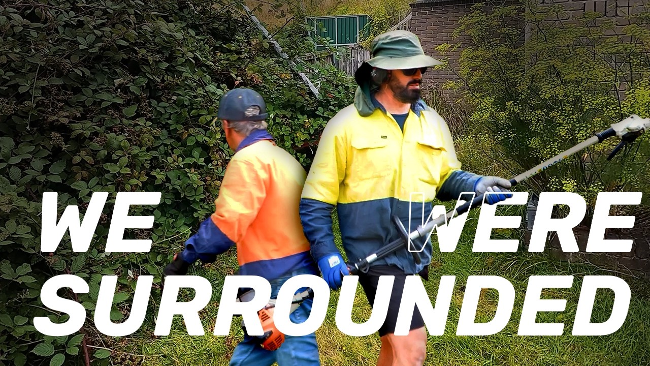 The Neighbors were Left Speechless by this Satisfying Yard Clean-Up