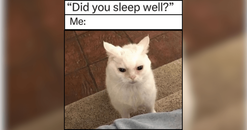 23 Sleepy Girl Memes for Women Who Survive on Less Than 6 Hours