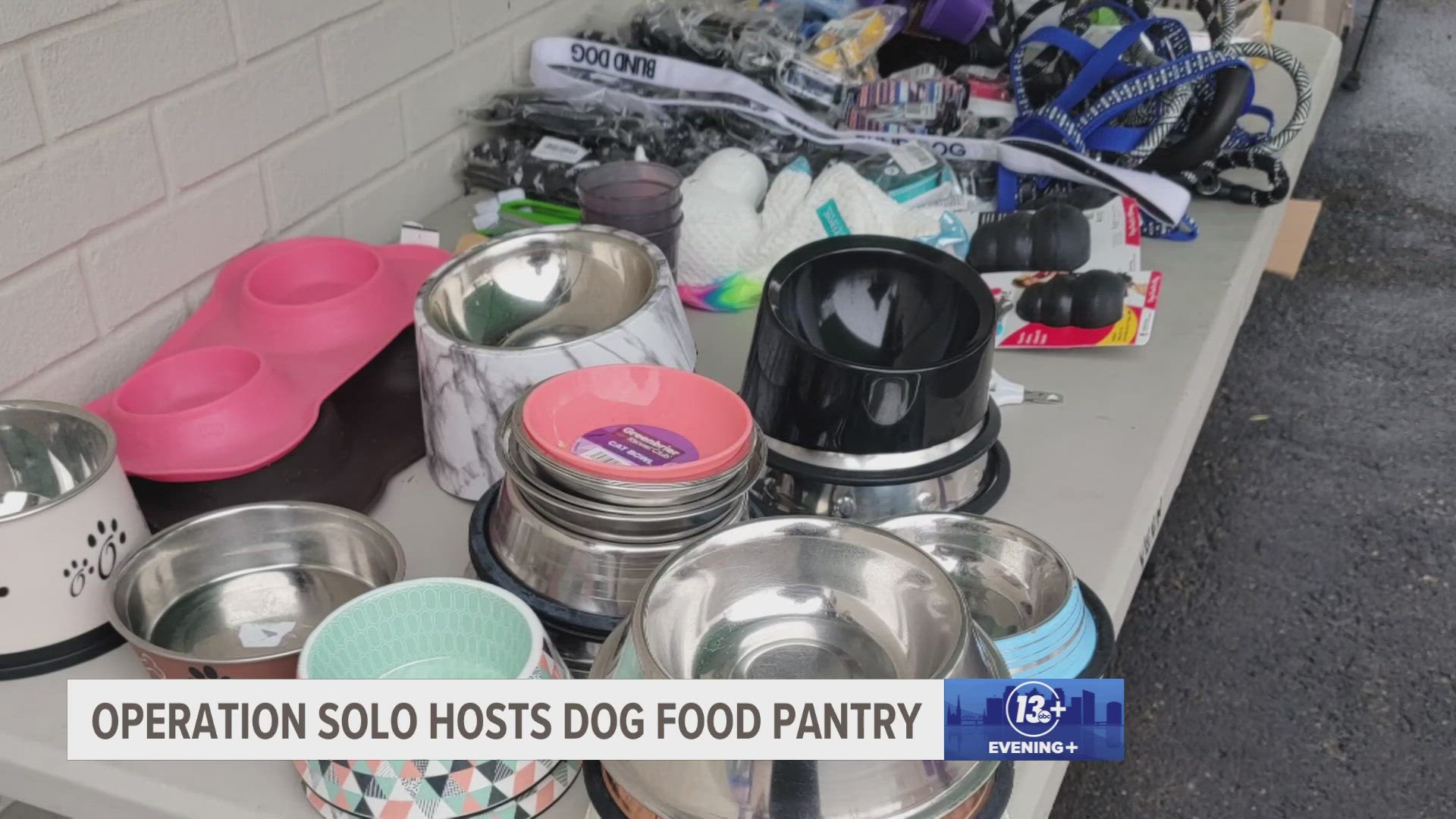 Operation Solo hosts dog food pantry