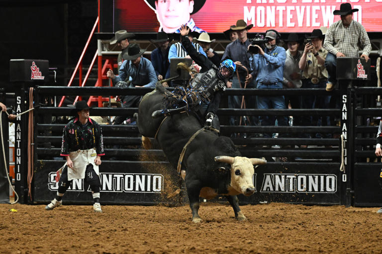 How to Watch The American Contender Tournament Finals: Live Stream ...