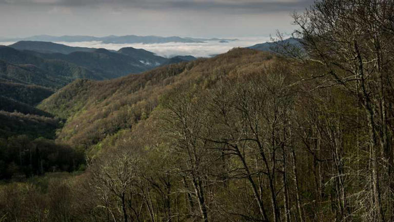 Must-see state parks in Tennessee
