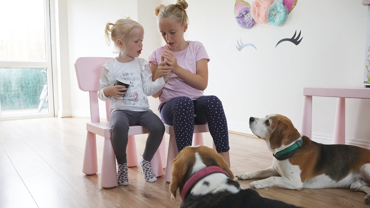 Big sister teaches little sister dog tricks with beagles
